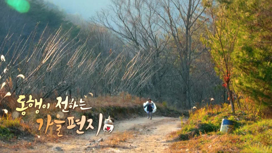 동행 | 디지털 KBS