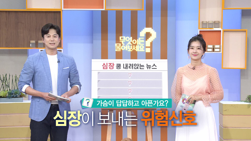 무엇이든 물어보세요 | 디지털 KBS