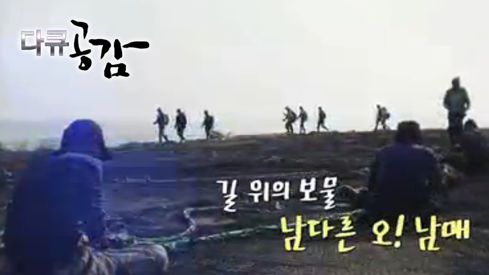 [126회] 다큐 공감 - KBS