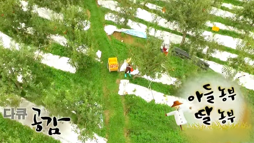 [172회] 다큐 공감 - KBS