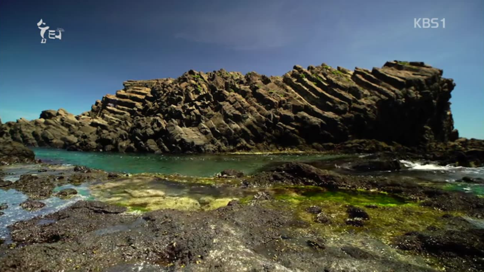 [451회] UHD 숨터 - KBS