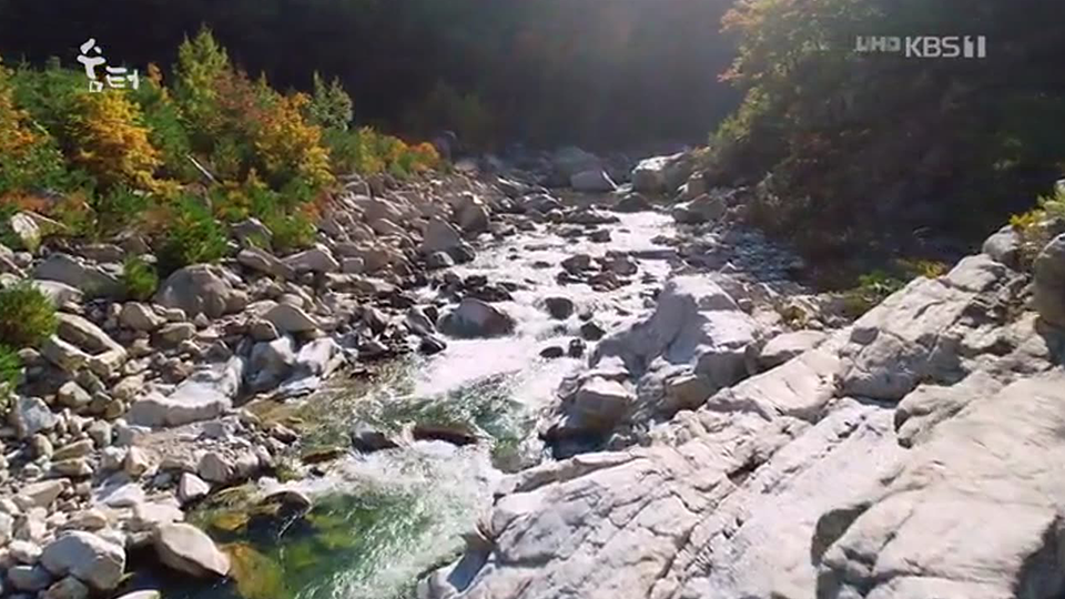 [581회] UHD 숨터 - KBS