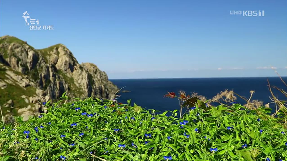 [584회] UHD 숨터 - KBS