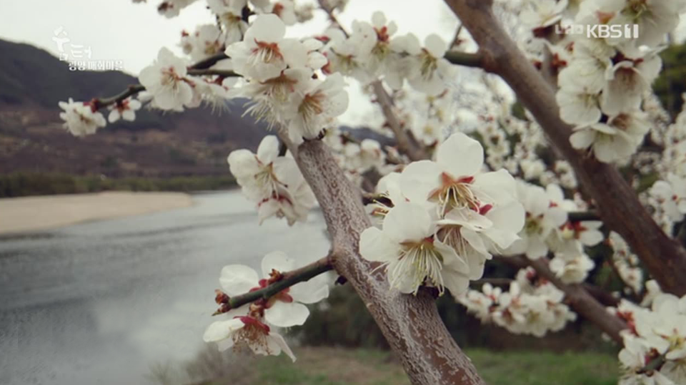 [655회] UHD 숨터 - KBS