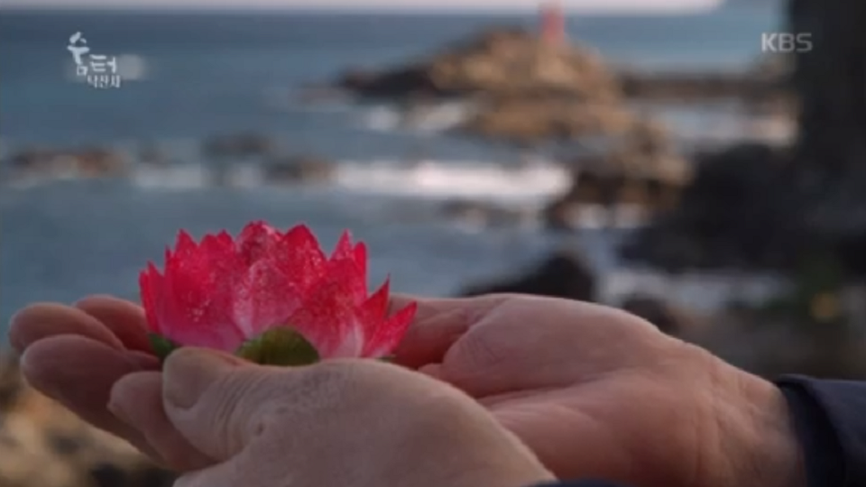 [788회] UHD 숨터 - KBS