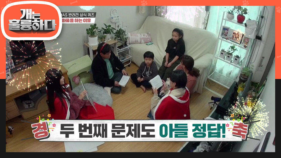 미리 -X MAS 반려견 상식 퀴즈! | KBS 211213 방송 - KBS