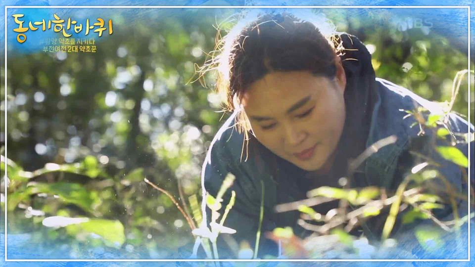 산의 고장 함양의 부전여전 2대 약초꾼 | KBS 221029 방송 - KBS