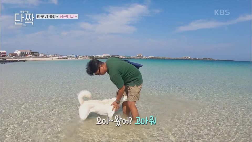 둘은 믿고 기댈 수 있는 친구입니다 | KBS 221029 방송 - KBS