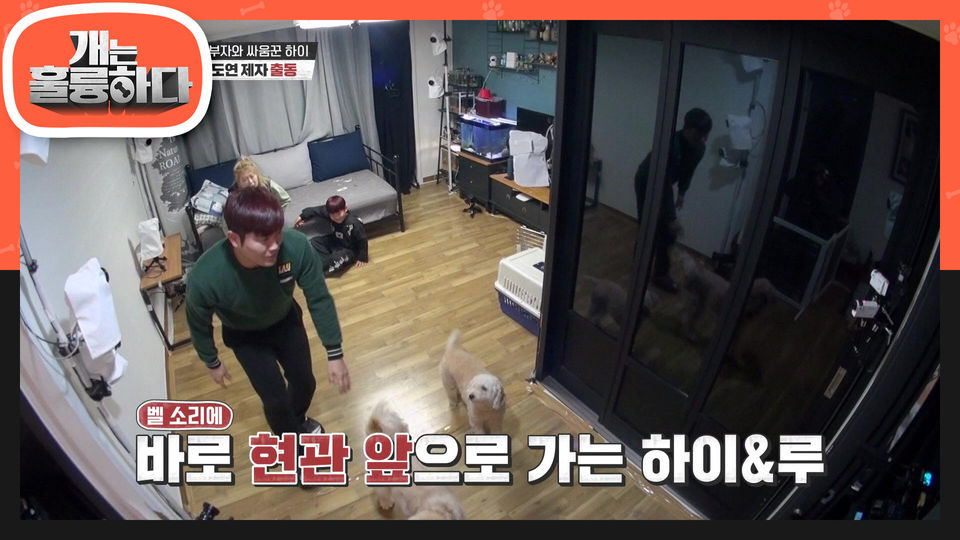 경계심 가득한 첫 만남, 과연 하이는 제자들을 보고 어떻게 행동할까? | KBS 230102 방송 - KBS