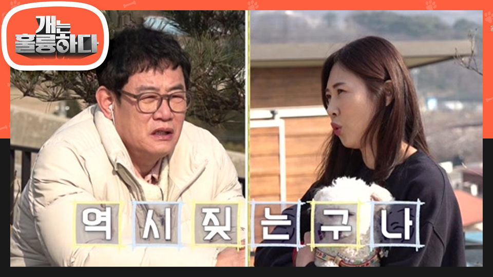 밤비를 분석하기 위해 출동한 제자들! 규 제자의 시야를 사로잡은것은 울타리?! | KBS 230320 방송 - KBS