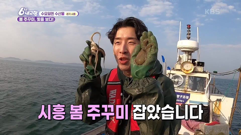 [수요일엔 수산물] 봄 주꾸미, 빛을 보다! | KBS 230405 방송 - KBS