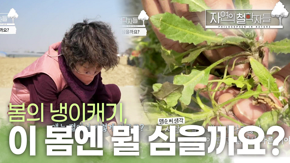 이 봄엔 뭘 심을까요? | KBS 230505 방송 - KBS