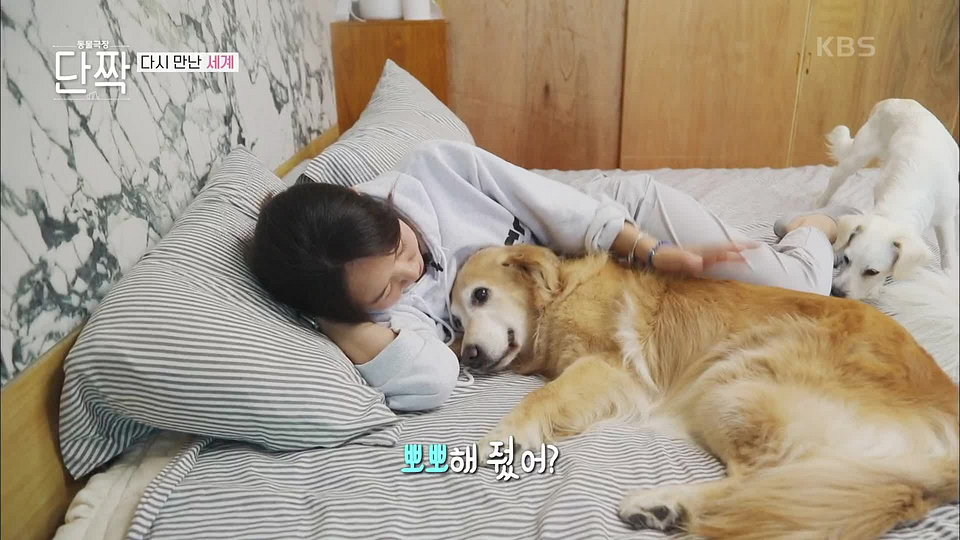 나니 랜드의 시작엔 그녀의 단짝 ‘테디’가 있었다 | KBS 230617 방송 - KBS