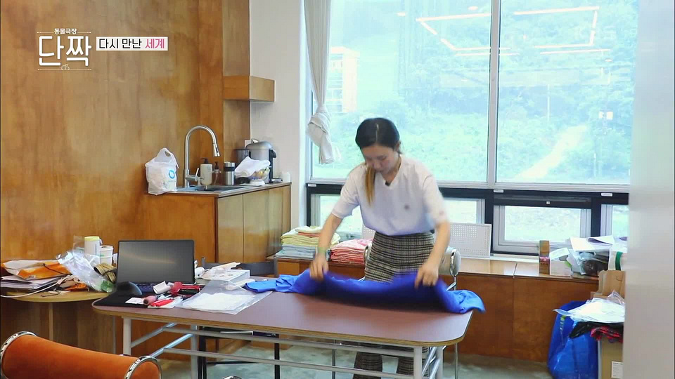 개들을 위해 관련 자격증만 4개를 취득한 나니 씨 | KBS 230617 방송 - KBS