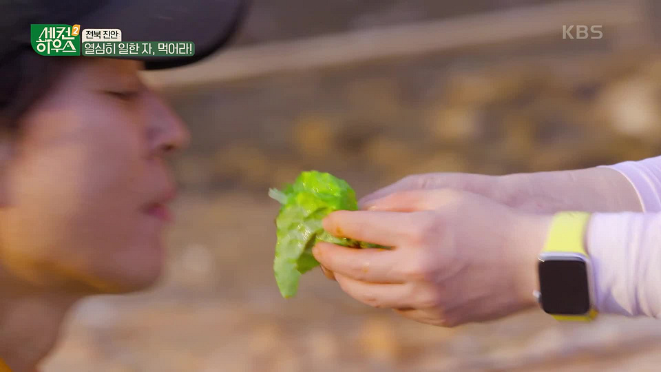 화가 잔뜩 난 근육! 아들 민서의 장작패기 실력은 과연? | KBS 230713 방송 - KBS