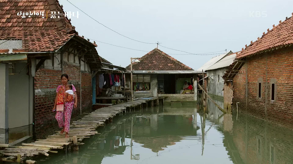 수시로 잠기는 육지, 올라가는 방파제 | KBS 230713 방송 - KBS