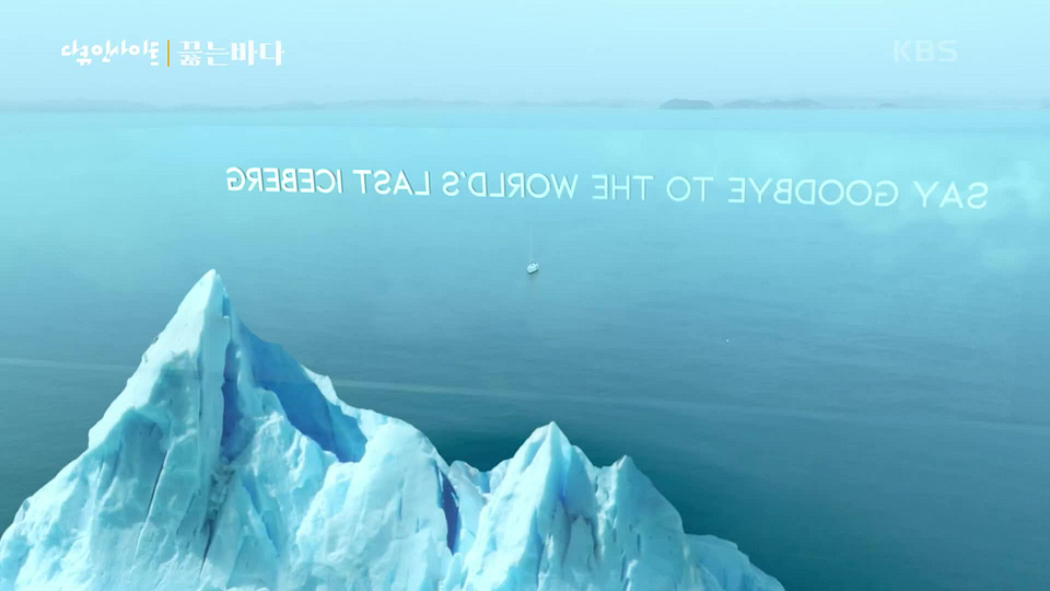 언젠간 물 위의 생활이 현실로... | KBS 230713 방송 - KBS