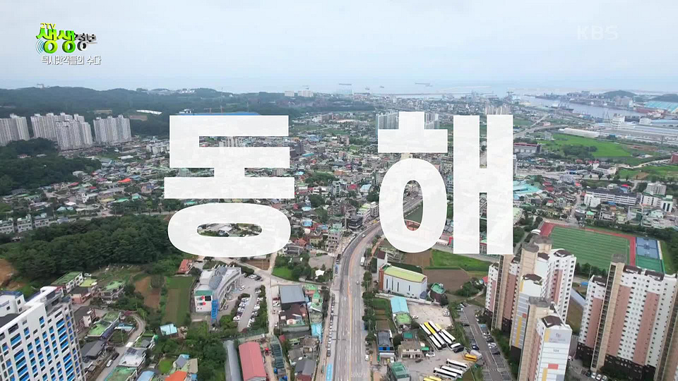 택시맛객들의 수다 : 택시맛객 PICK, 동해시 맛집 | KBS 230726 방송 - KBS