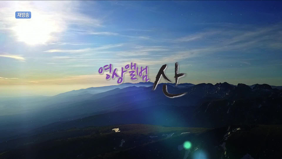[772회] 영상앨범 산 - KBS