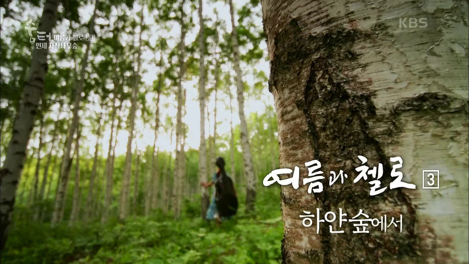 [1056회] UHD 숨터 - KBS