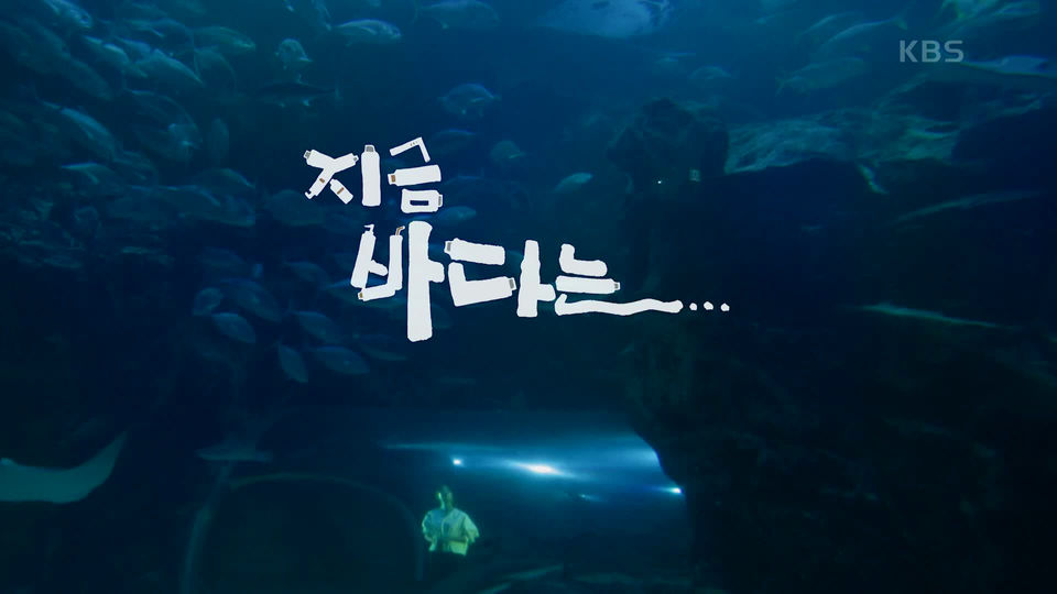 [19회] UHD 환경스페셜2 - KBS