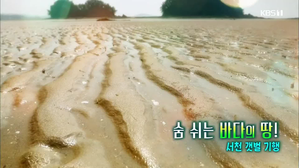 [452회] TV 이웃 다정다감 - KBS