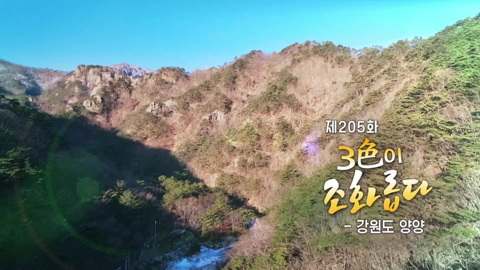 [205회] 동네 한 바퀴 - KBS