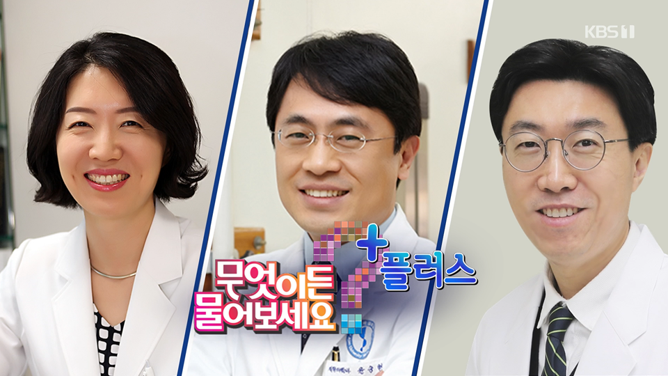 무엇이든 물어보세요 - KBS