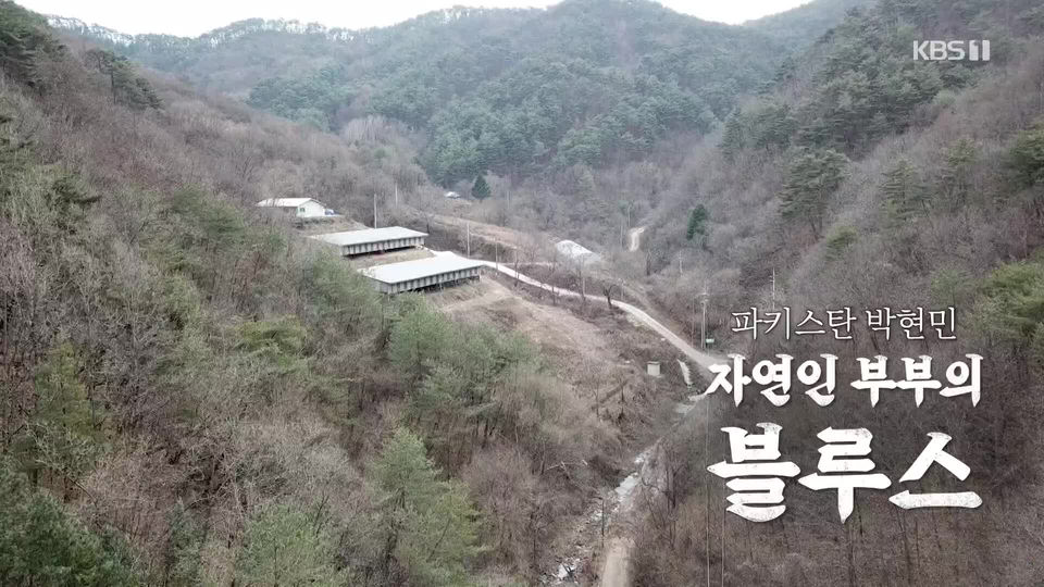 [381회] 이웃집 찰스 - KBS