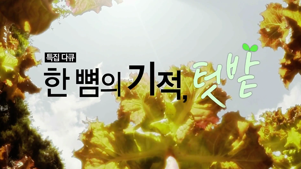 한 뼘의 기적, 텃밭 | 디지털 KBS