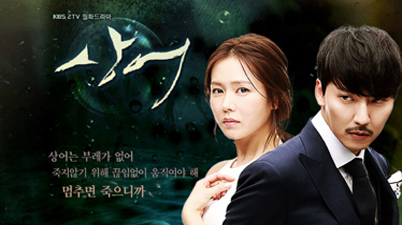 상어 | 디지털 KBS